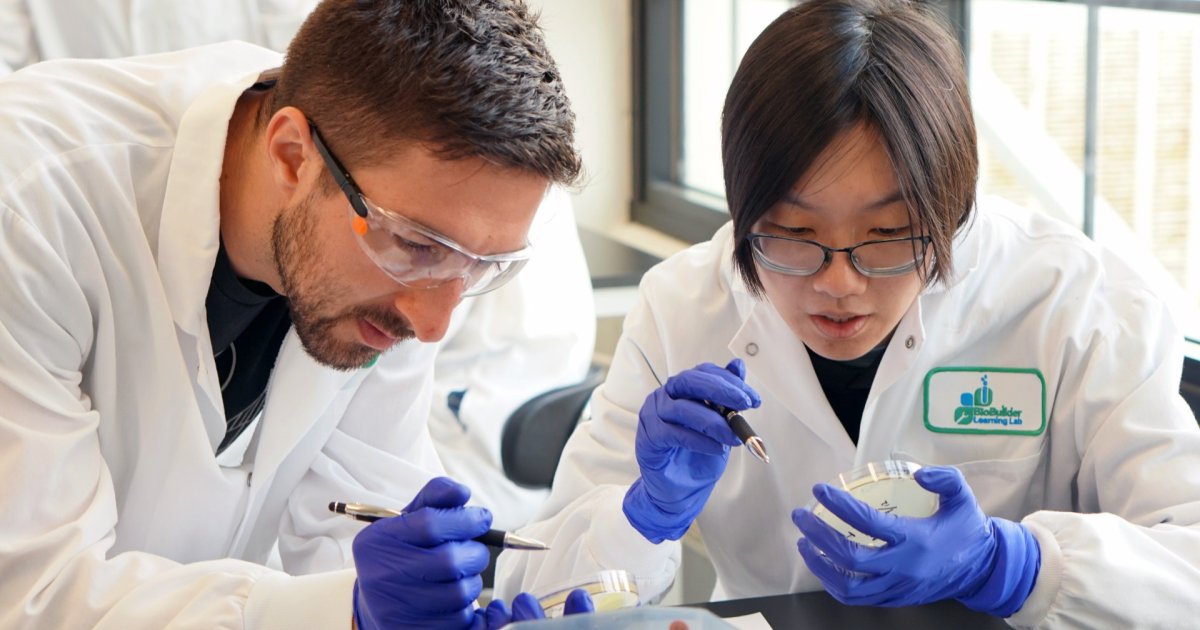 What Makes STEM Products Effective? | UEA